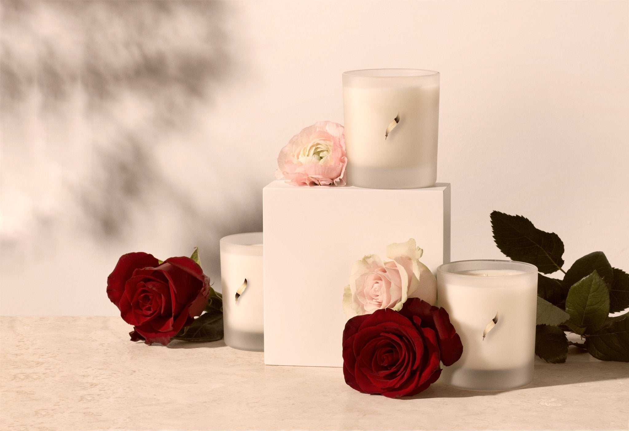Corporate Gifting with Novenary: The Power of Wellbeing