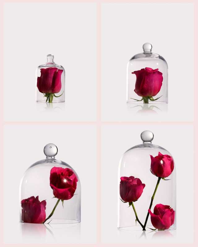 The Aesthetic Allure of Novenary's Luxury Glass Cloches: Elevate Your