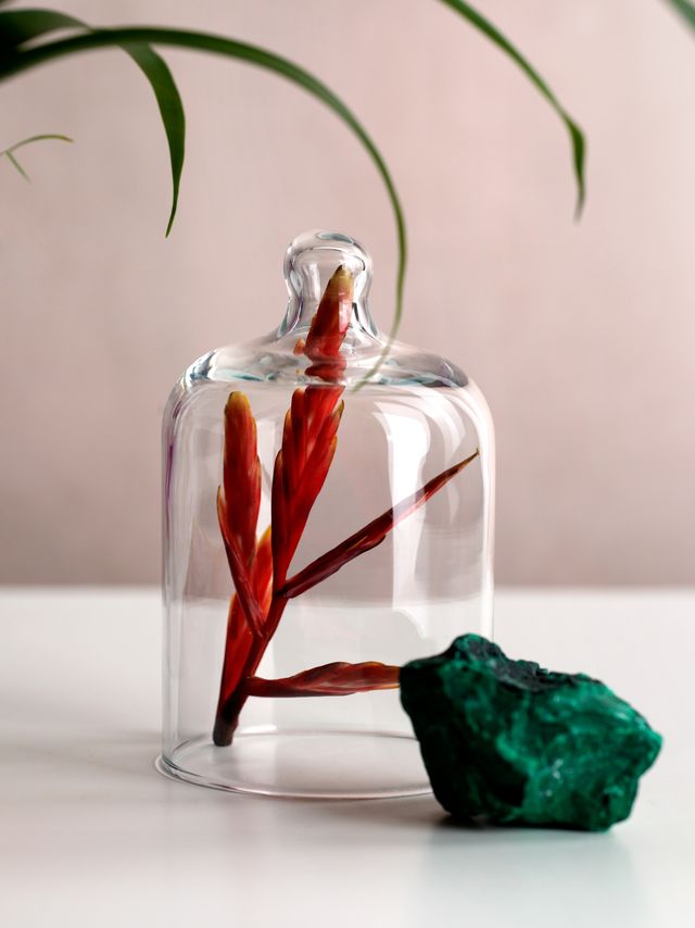 Your Home and the Elegance of Mini Cloches – Novenary